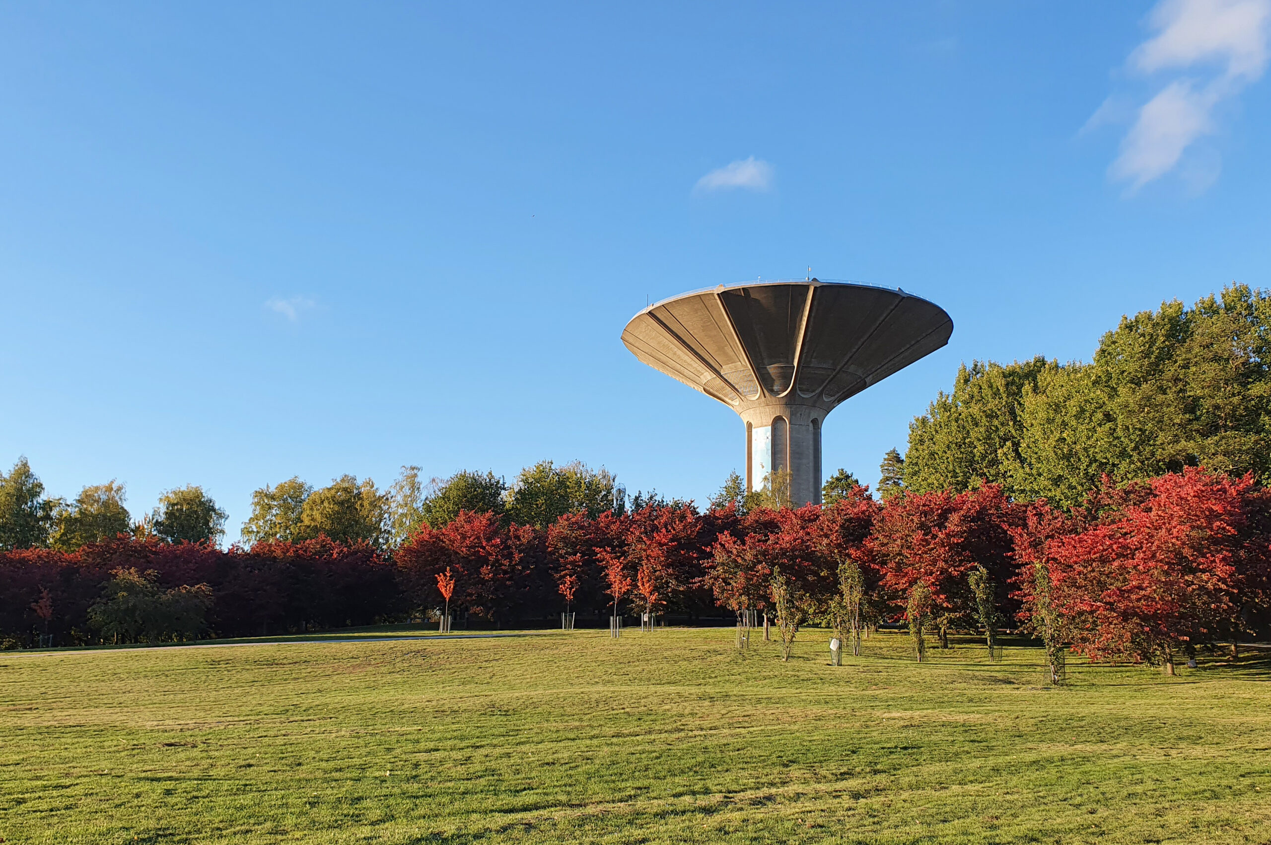 Kirsikkapuisto - Open House Helsinki